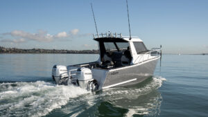 Range - Kingfisher Power Cats